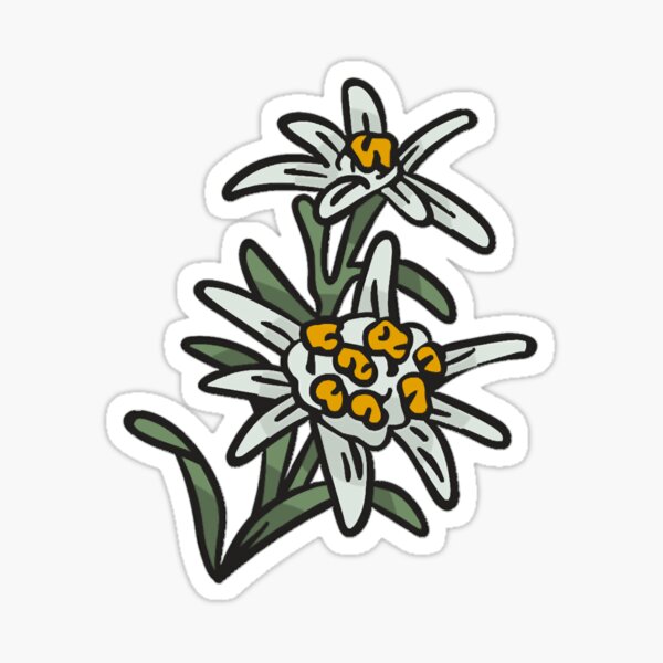 "Edelweiss" Sticker for Sale by JezebelWang | Redbubble