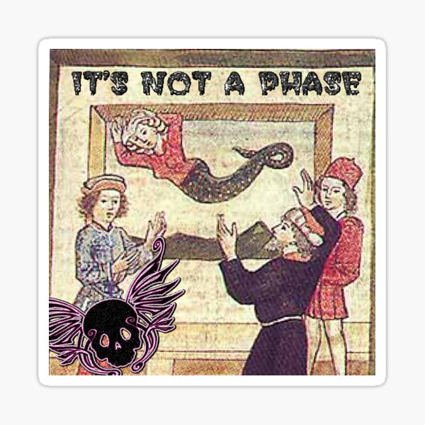 "It's not a phase " Sticker by Y2kKitschQueen | Redbubble