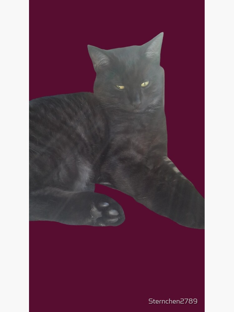 "Black cat, love for animals, tomcat" Poster for Sale by Sternchen2789 ...