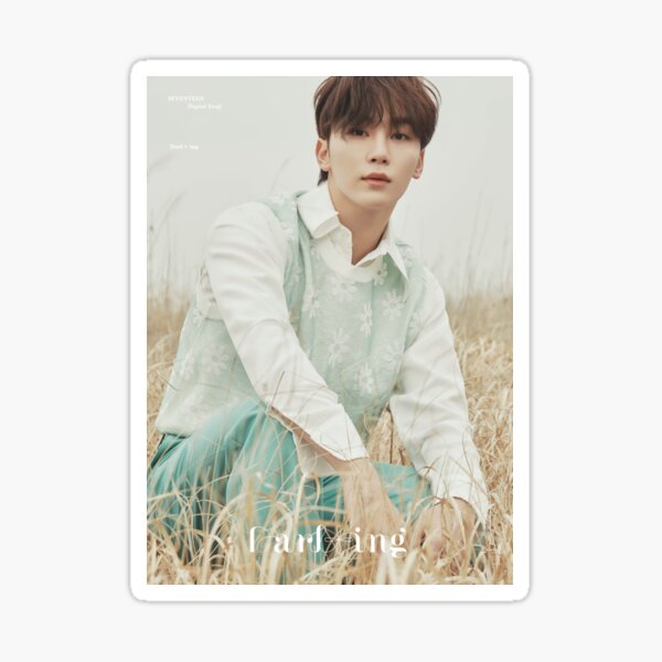 "Seventeen Seungkwan ‘Darl+ing'" Sticker by HaloHaloShine | Redbubble