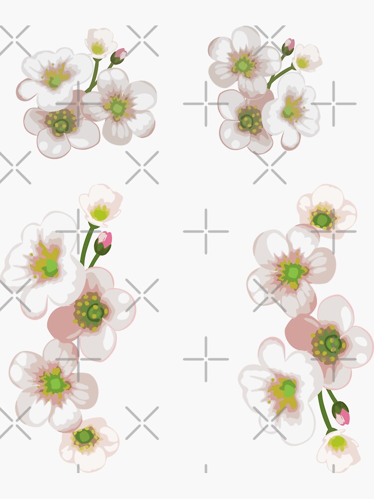 "Pink flower sticker pack" Sticker by MerWishes | Redbubble