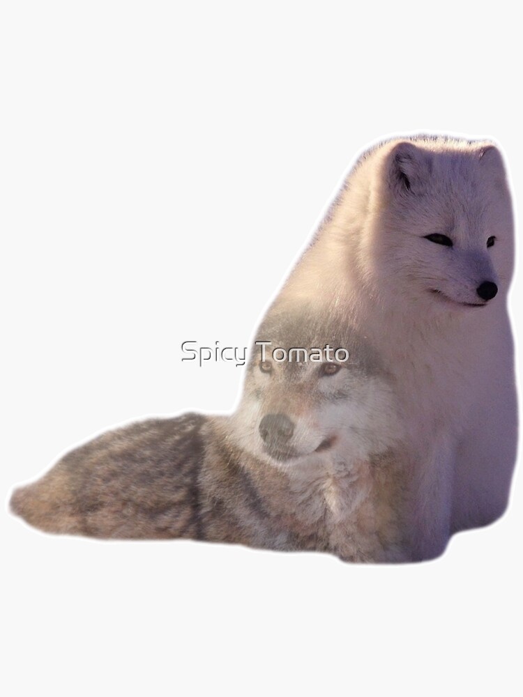 "Wolfy" Sticker by GL77 | Redbubble