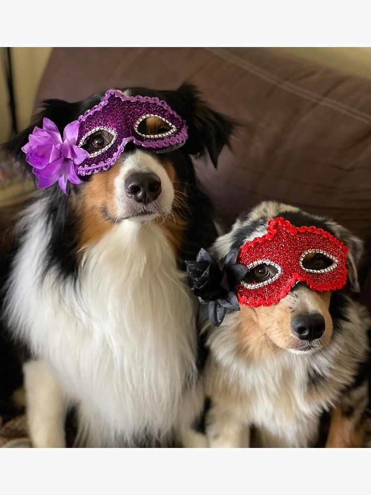 "Anakin and Colossus in Masks " Poster by anakinpawesome | Redbubble