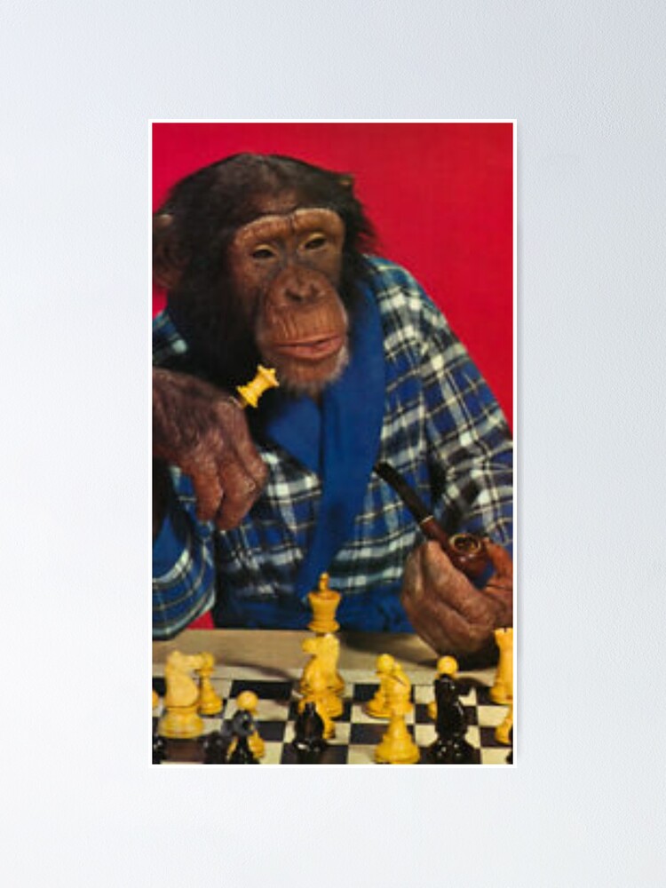 "Vintage Chess Chimp" Poster for Sale by TheRealHuckFinn | Redbubble