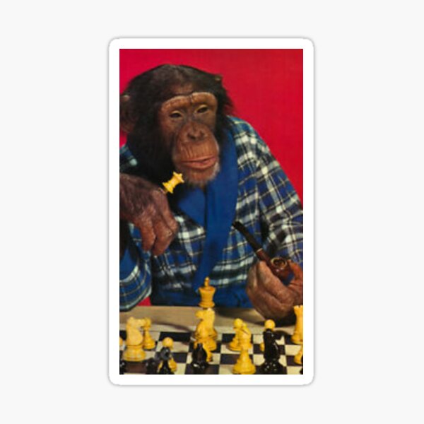 "Vintage Chess Chimp" Sticker by TheRealHuckFinn | Redbubble