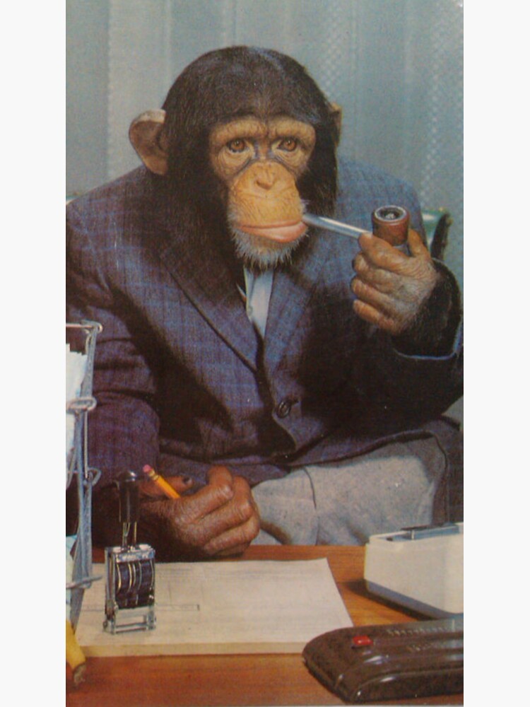"Vintage Smart Chimp" Sticker by TheRealHuckFinn | Redbubble