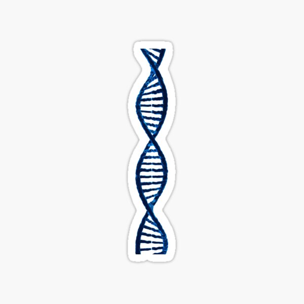 "DNA strand" Sticker by RodrigoVitalli | Redbubble