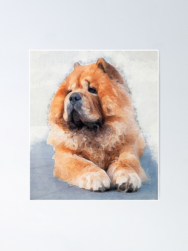 "chow chow art chow chow design" Poster for Sale by Pixua | Redbubble