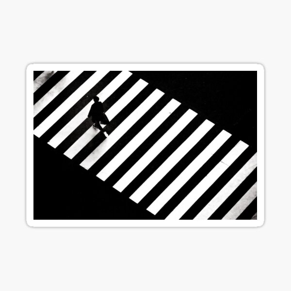 "Zebra Cross | Zebra Crossing | Street photography | Conceptual ...