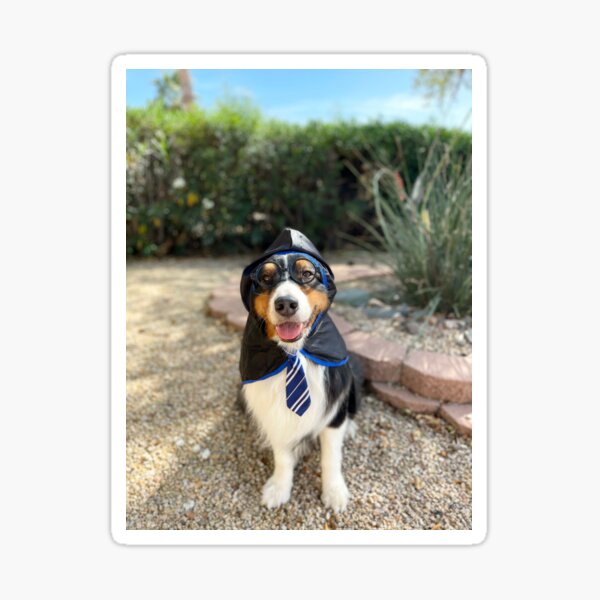 "Colossus The Wizard" Sticker for Sale by anakinpawesome | Redbubble