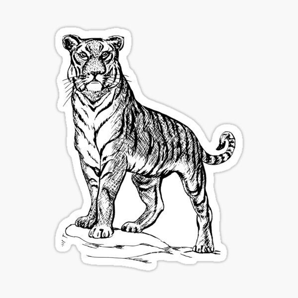 "Tiger King" Sticker by MSDreamArt | Redbubble