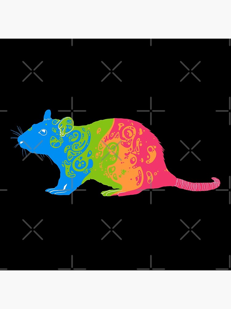 "Panromantic Pride Rat | LGBT Queer Pride" Poster for Sale by ...