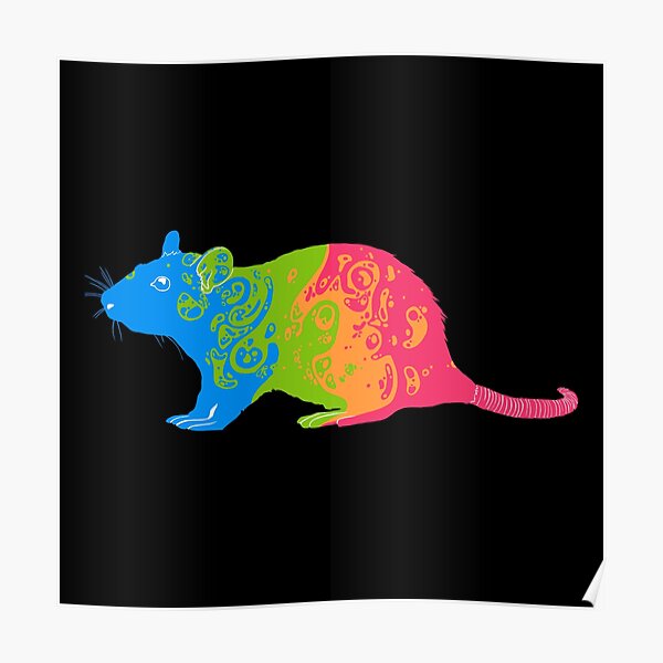 "Panromantic Pride Rat | LGBT Queer Pride" Poster for Sale by ...