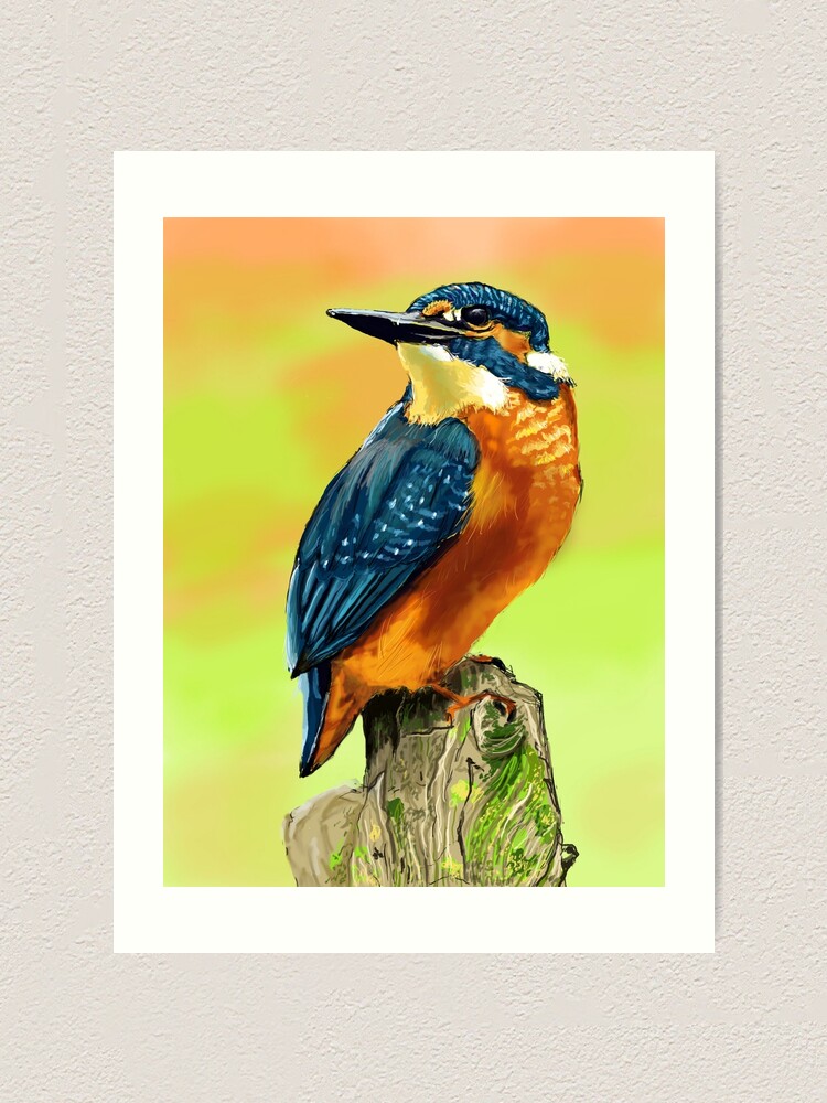"Bird / Kingfisher / Early Riser" Art Print for Sale by ImagineReigns ...
