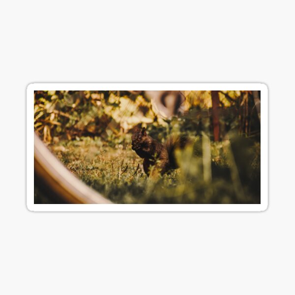 "Alvin" Sticker for Sale by MiguelBarrera | Redbubble