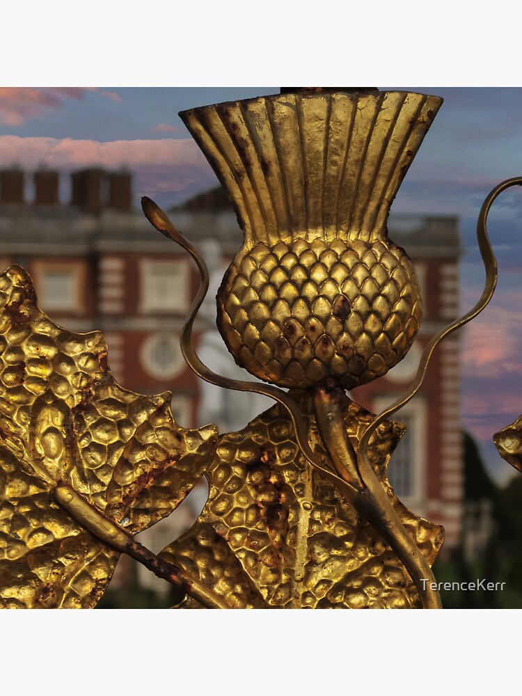 "Gilded thistle, national emblem of Scotland, Baroque metalwork ...