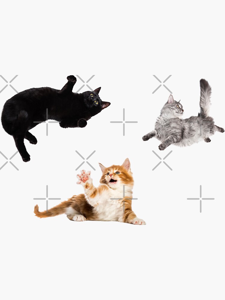 "Furry Cats Sticker Pack" Sticker for Sale by EmmaLovelyStore | Redbubble