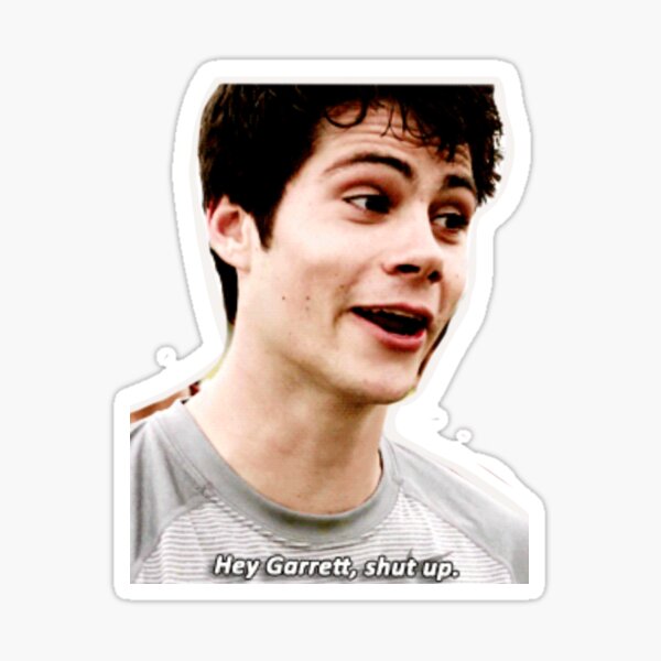 "Stiles " Sticker by Classylady1Of4 | Redbubble