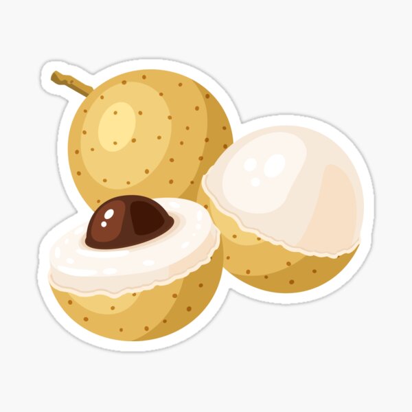 "Longan, a fruit in Southeast Asia, sweet and delicious" Sticker by ...
