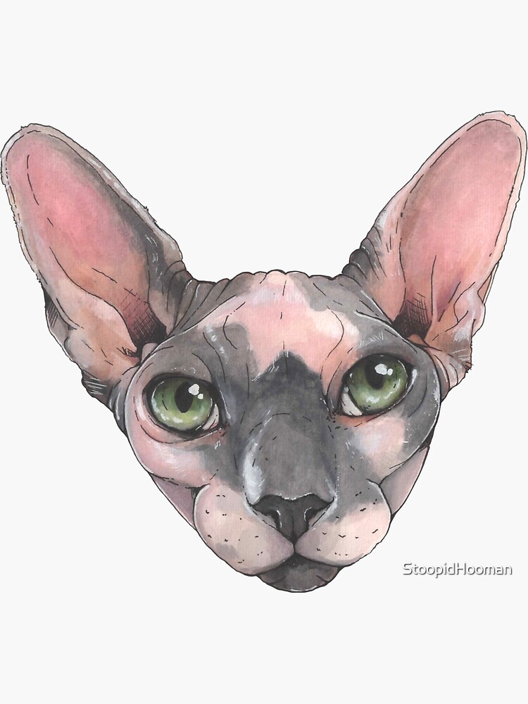 "Raisin the Sphynx" Sticker for Sale by StoopidHooman | Redbubble