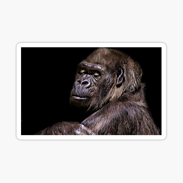 "Chimpanzee" Sticker by Colorfulllll | Redbubble