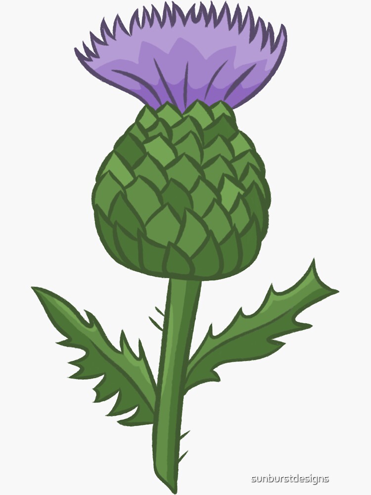 "Scottish Thistle Flower" Sticker by sunburstdesigns | Redbubble