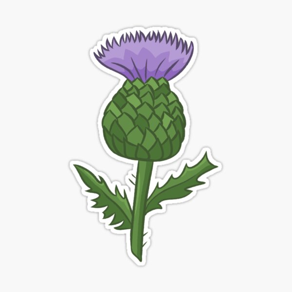Scottish Thistle Decals