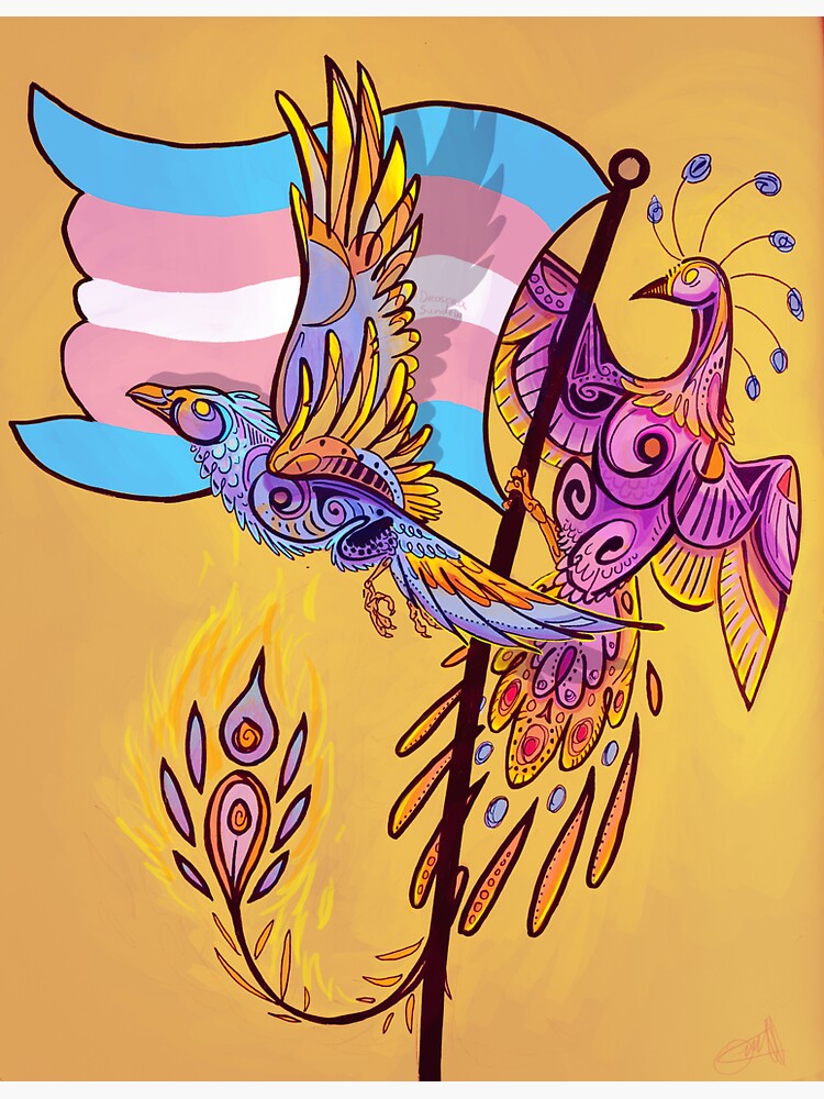 "Trans Pride Phoenix" Sticker by Sundews | Redbubble