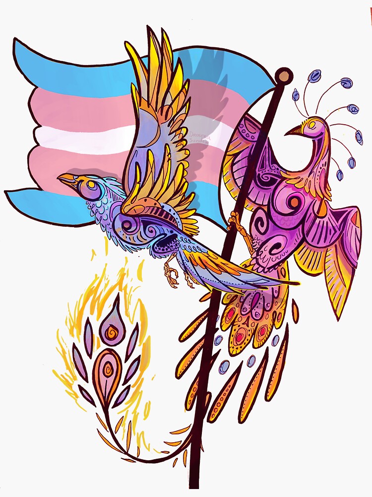"Trans Pride Phoenix Transparent" Sticker by Sundews | Redbubble