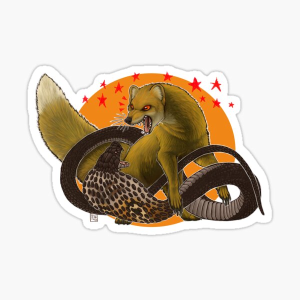 King Cobra Stickers | Redbubble