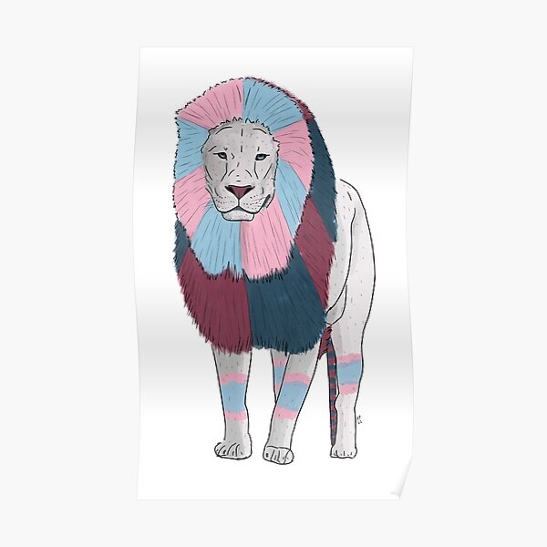 "Transgender lion trans pride " Poster for Sale by kylepeterart | Redbubble