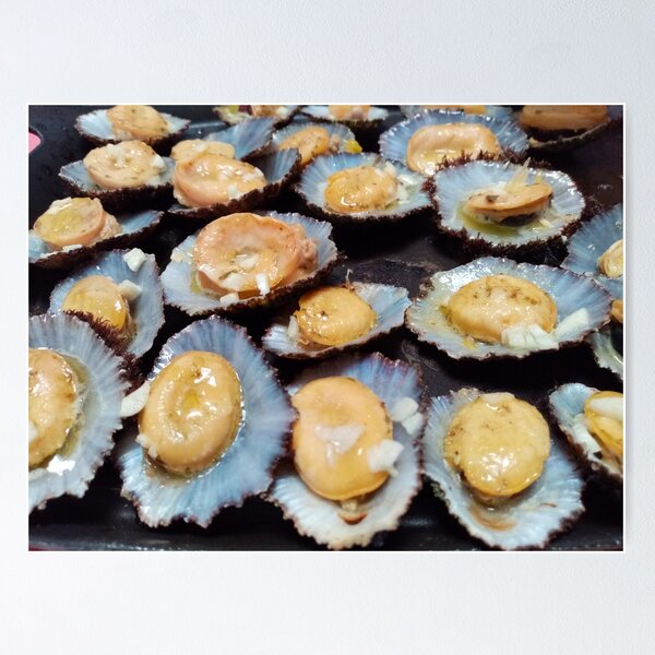 "Azores "lapas" limpets" Poster for Sale by Gaspar Avila | Redbubble