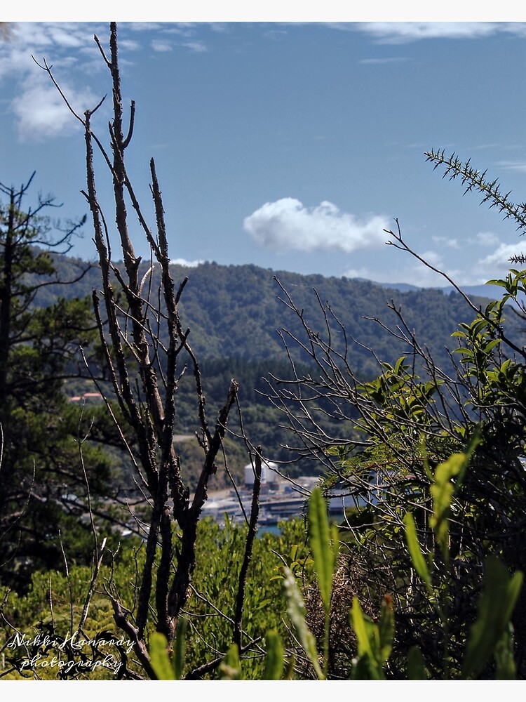 "Picton New Zealand " Poster for Sale by Nikkihanaray | Redbubble