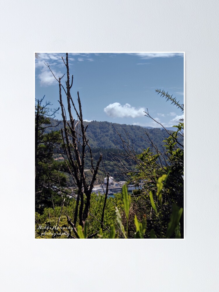 "Picton New Zealand " Poster for Sale by Nikkihanaray | Redbubble