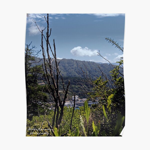 "Picton New Zealand " Poster for Sale by Nikkihanaray | Redbubble