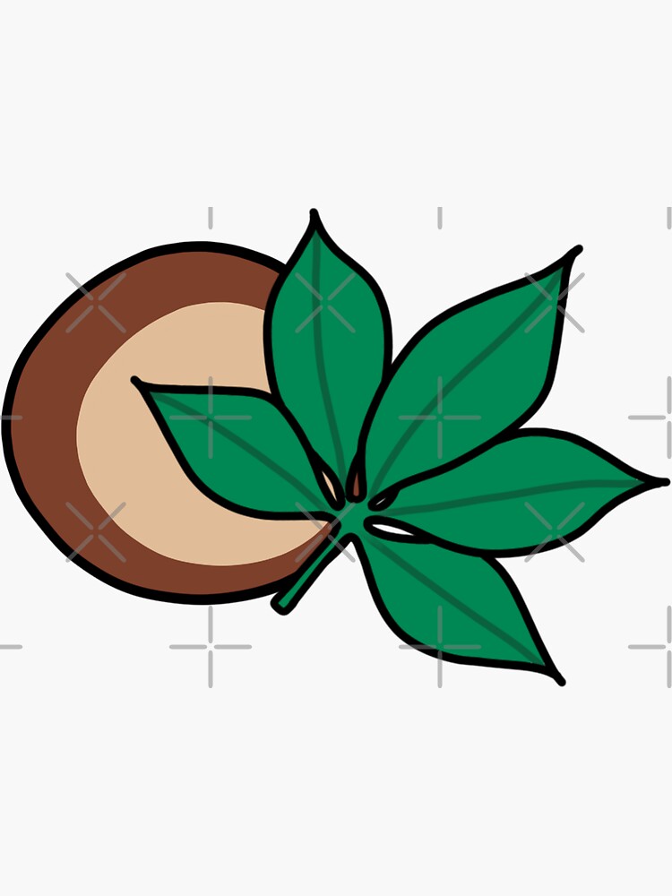 "Buckeye (with leaf)" Sticker for Sale by nlogc | Redbubble
