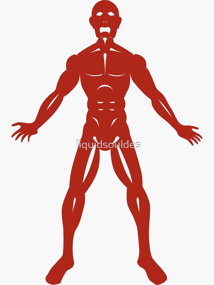 "The Flayed Man" Sticker for Sale by liquidsouldes | Redbubble