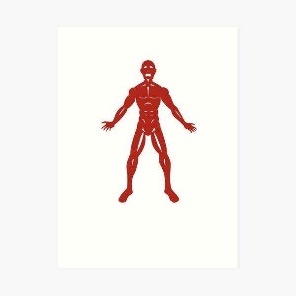 "The Flayed Man" Art Print for Sale by liquidsouldes | Redbubble