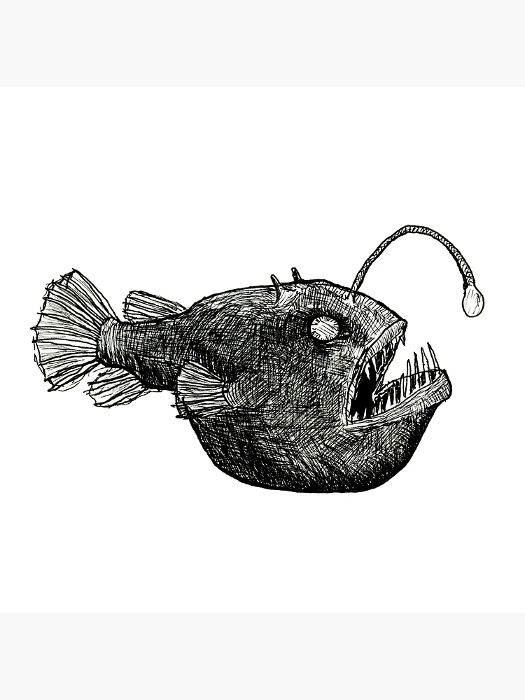 Angler Fish Drawing Reference