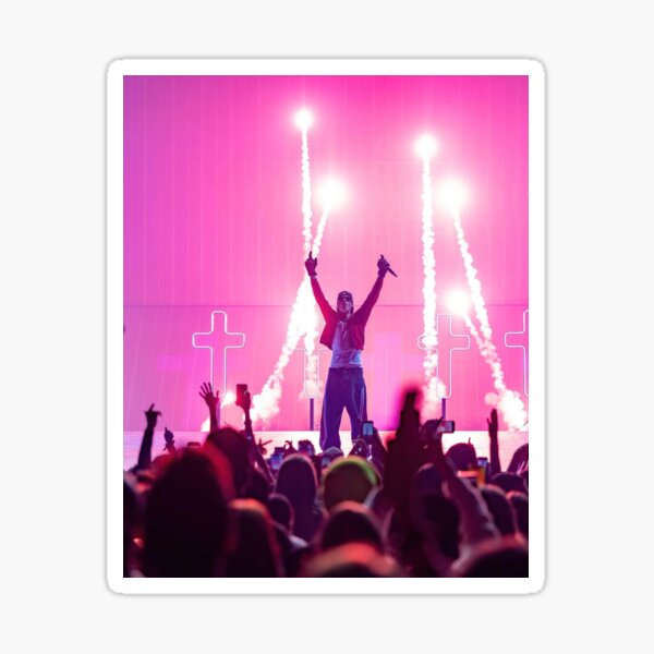 "Pink Flare" Sticker by EliseajrDesign | Redbubble