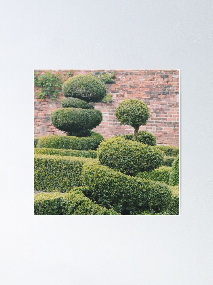 "Beautiful Spiral Topiary In Spring" Poster for Sale by RGMXPhotography ...