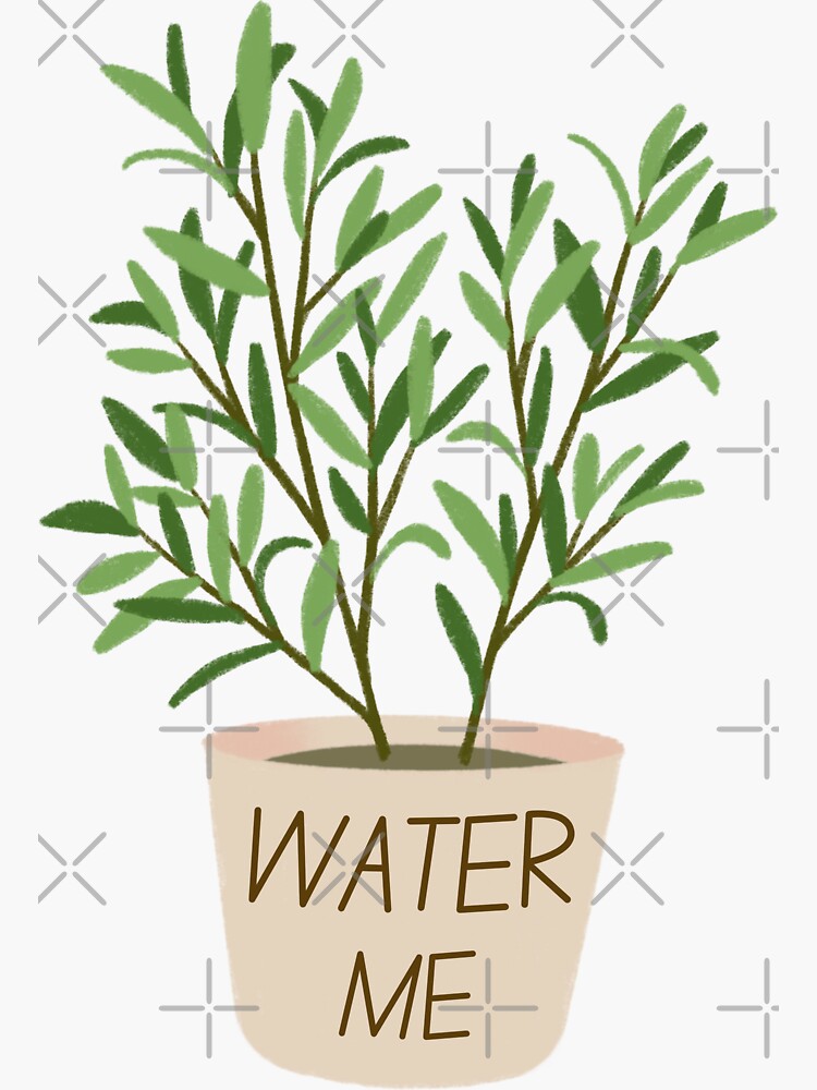 "Water Me Plant Don't Forget Funny Humorous" Sticker by EffSharp ...