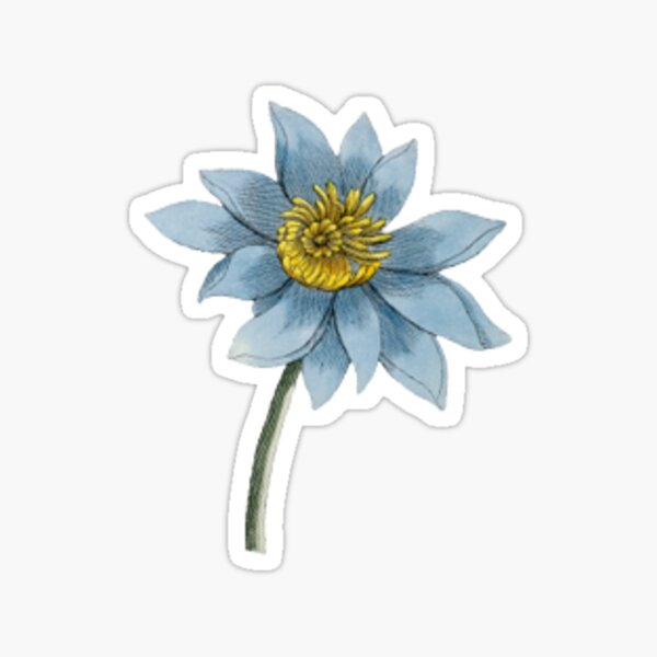 "Blue Lotus Flower" Sticker by GuestPostExpert | Redbubble