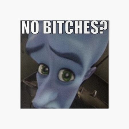 "No bitches megamind meme" Art Board Print for Sale by kamilesz | Redbubble