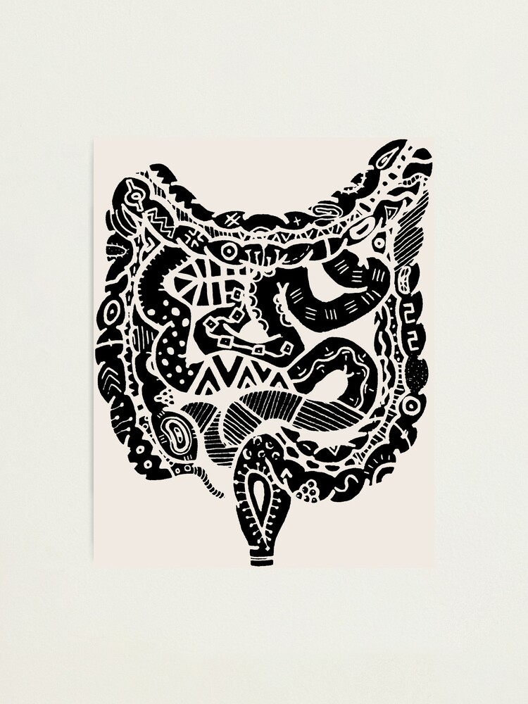 Lámina fotográfica « El amante de la comida | Dibujo médico | Anatomía ...