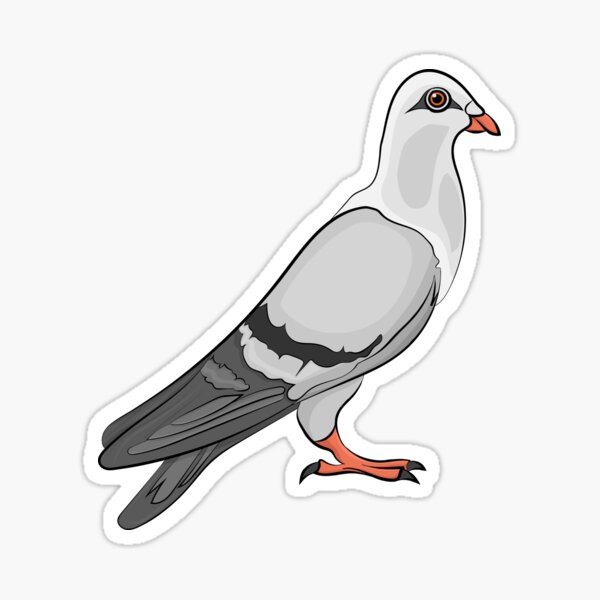 "doves - birds - pigeon white" Sticker by SA2Art | Redbubble