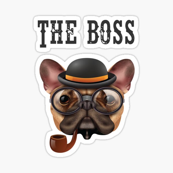 "the boss, the dog pug" Sticker for Sale by HafsaDesign | Redbubble