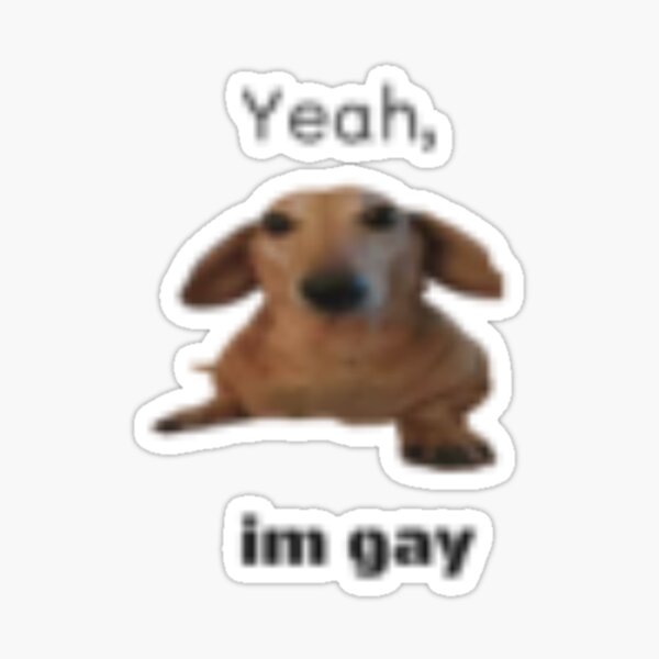 Pegatina «soy camiseta de perro gay - divertida, estúpida, gen z ...