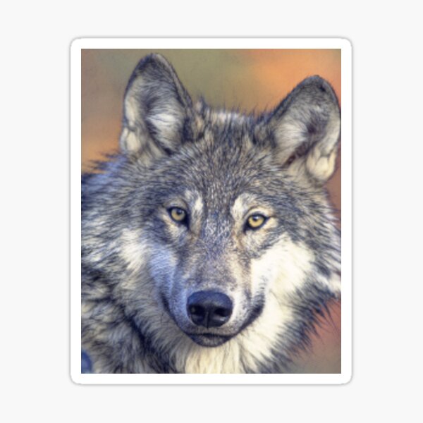 "Lone wolf" Sticker by kib0design | Redbubble