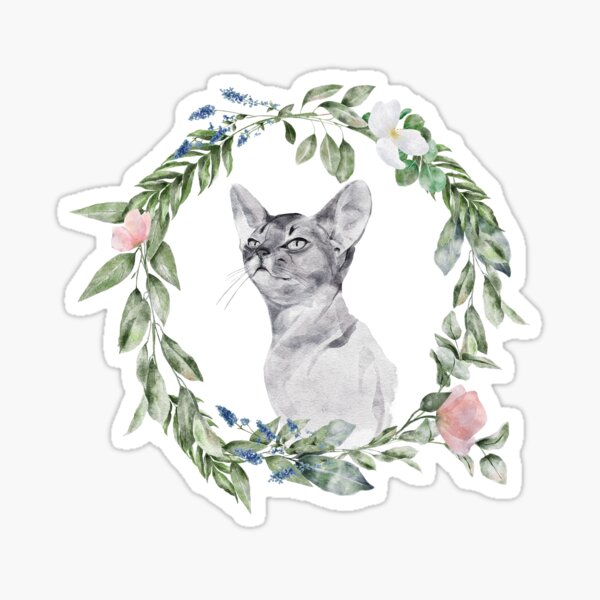 "aesthetic floral cat" Sticker by theNorthCulture | Redbubble